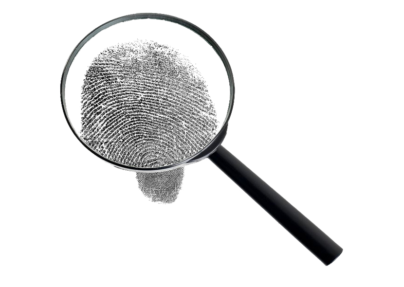 Trigold Security and Investigation Agency, Inc. | Background Investigations